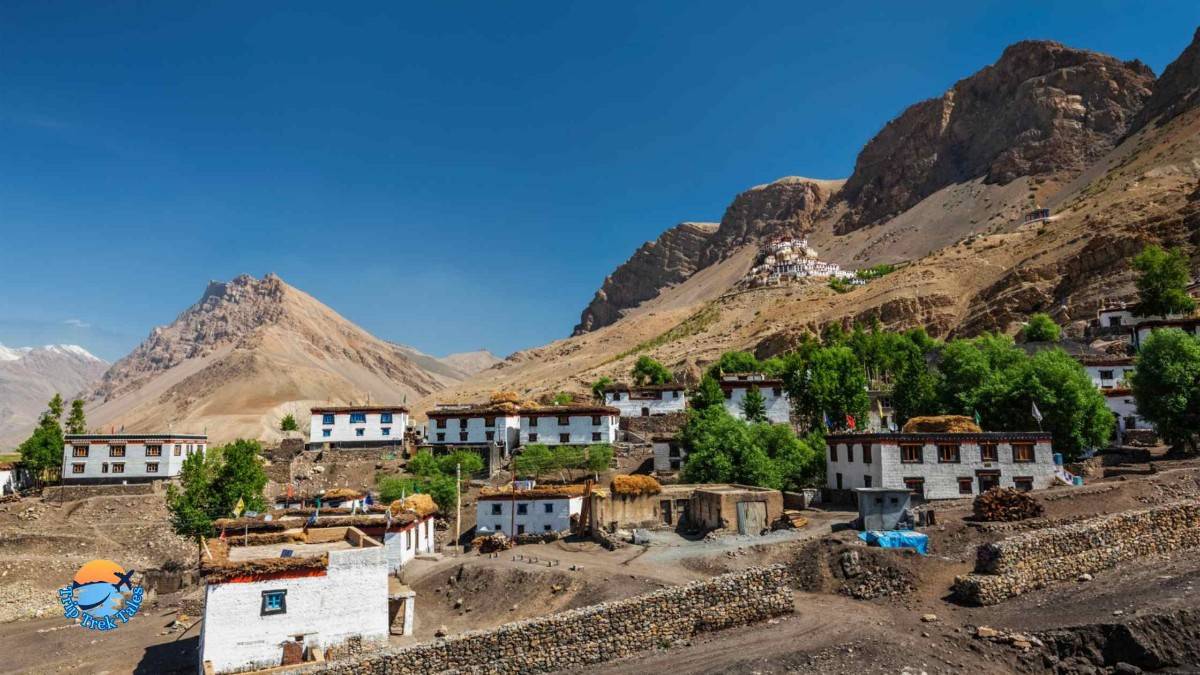 About Us - Trip Trek Tales
